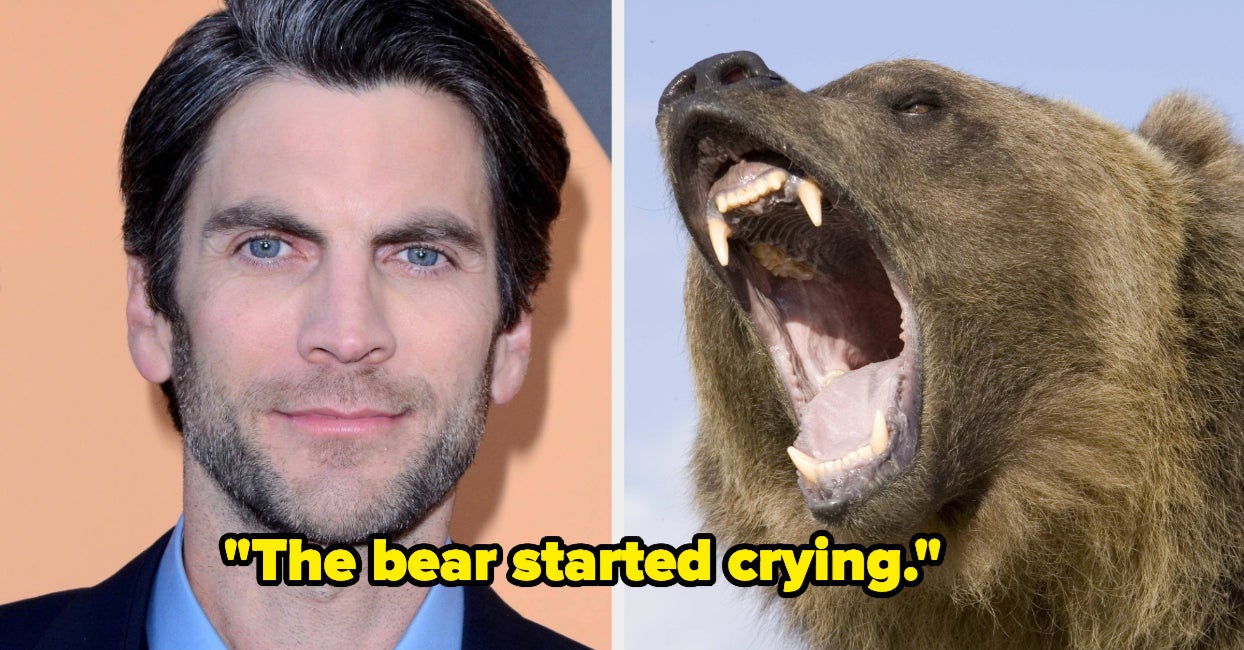 Wes Bentley Kicked Bear In The Face And Broke His Foot