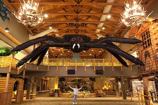Look At This! World’s Largest Balloon Sculpture | Complex
