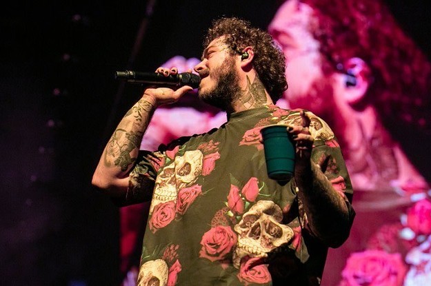 Post Malone's Reaction to Being Flashed by Audience Member Spawns a New Meme | Complex