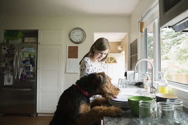 Ohio Woman Broke Into Home to Do Dishes, Pet Dog | Complex