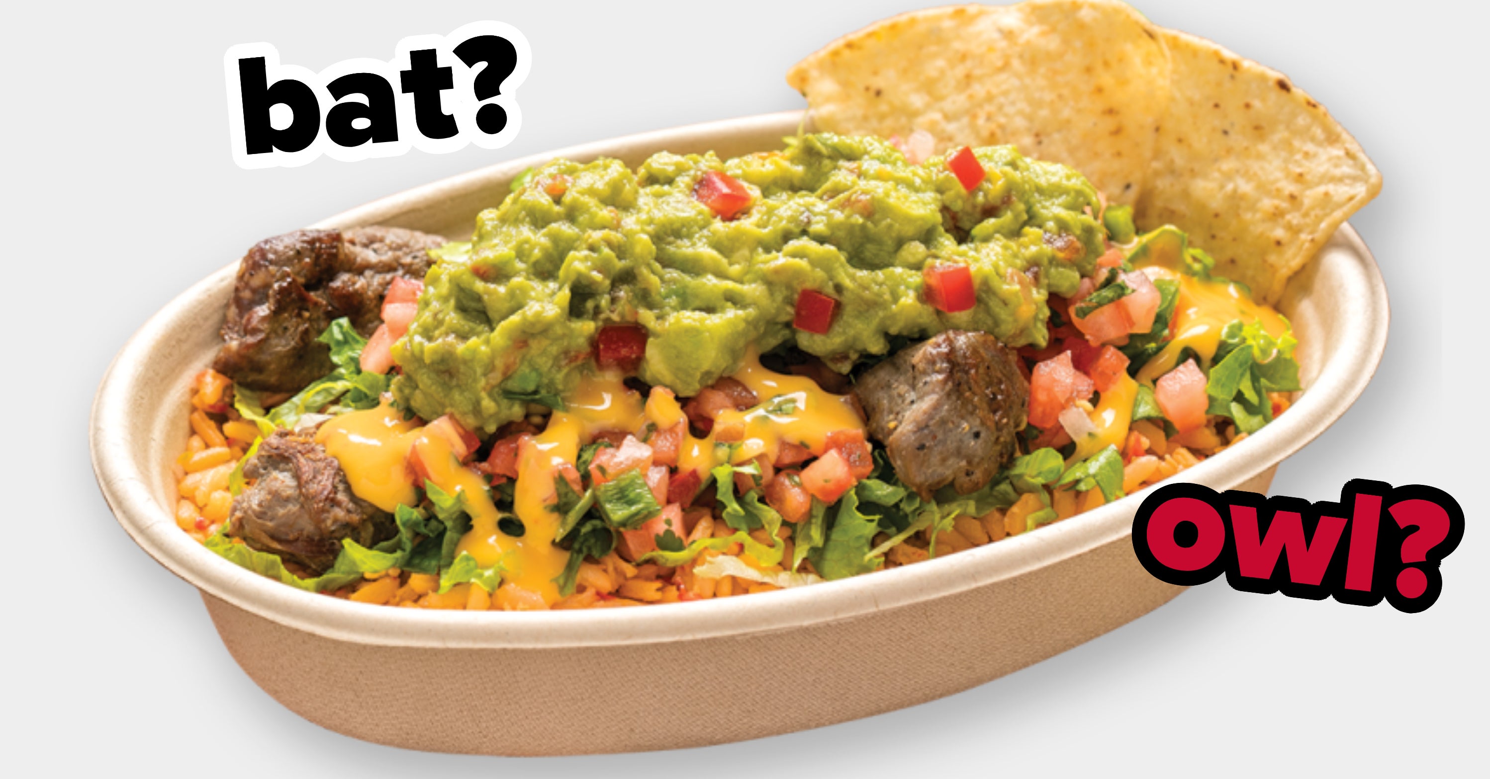 Eat Some Chipotle And We'll Tell You What Nocturnal Animal You Are
