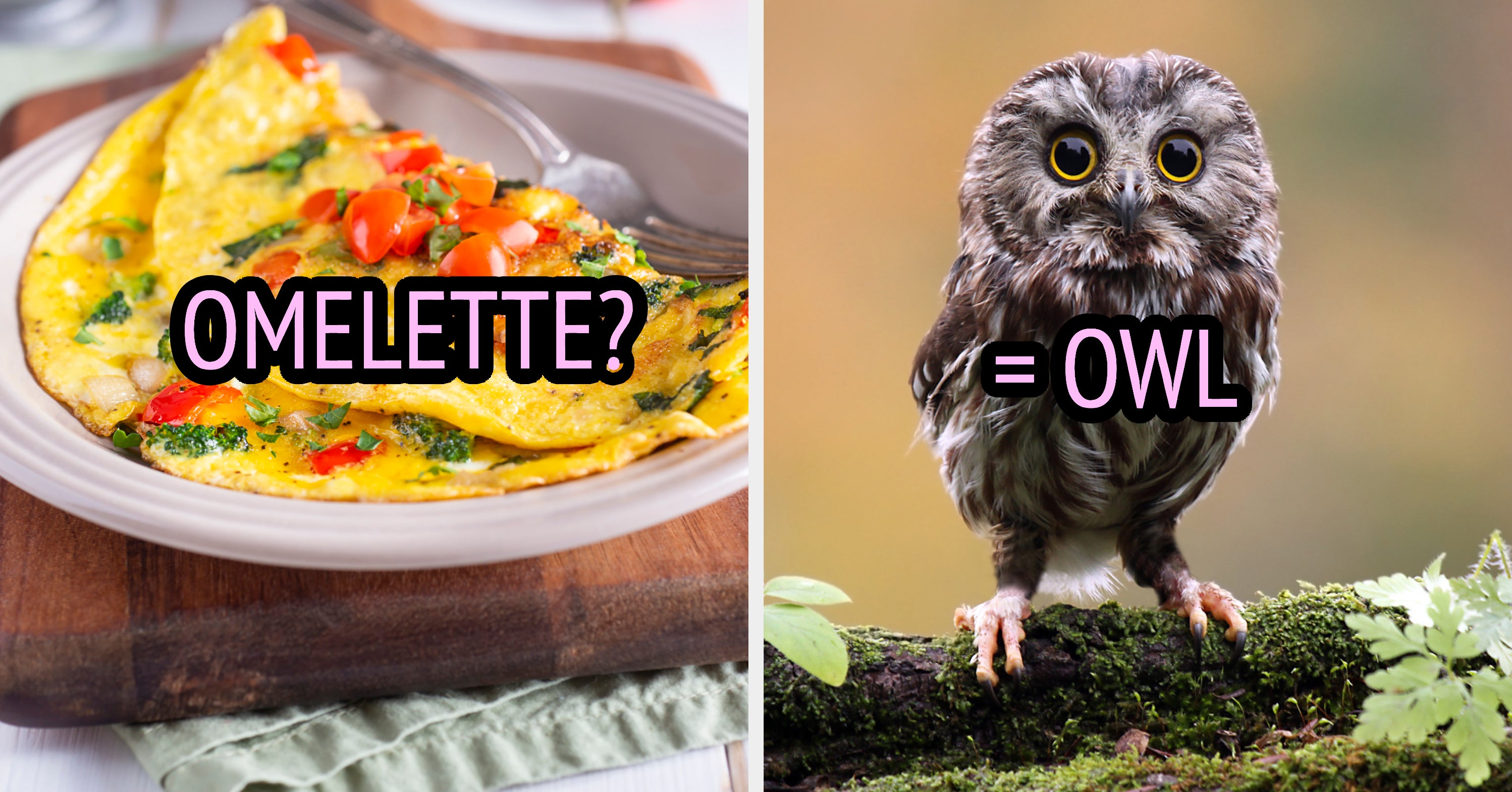 Which Animal Are You? Eat Foods "A Through Z" To Find Out