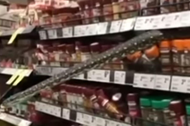 Video Shows 10-Foot-Long Python Surprising Shopper at Australian ...