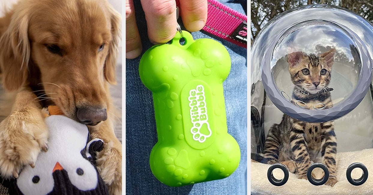 35 Best Amazon Pet Products You'll Wanna Snag ASAP