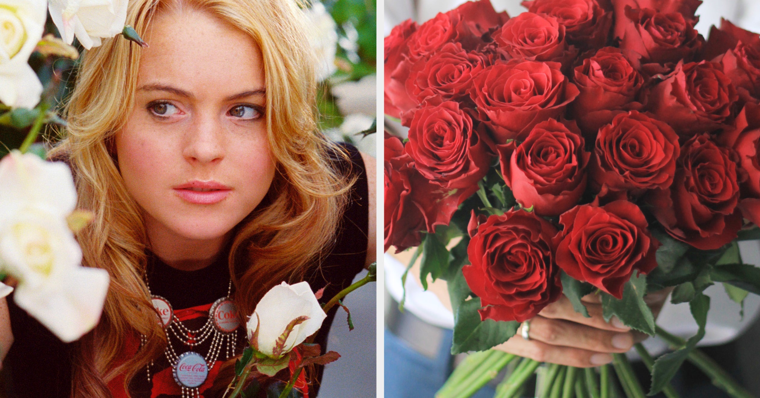 What Color Rose Matches Your Personality?