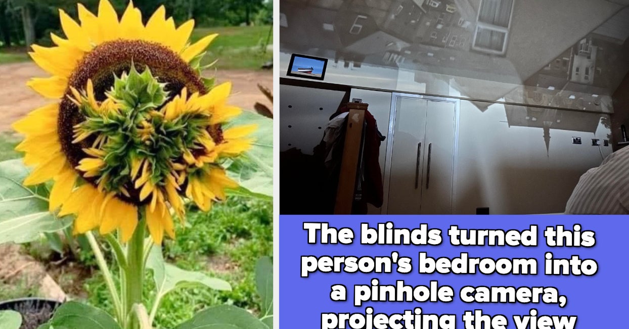 23 Alternate Reality Photos I Shouldn't Have Seen