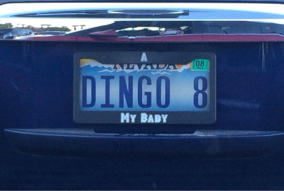88 Best Funny License Plates That Are Seriously Clever