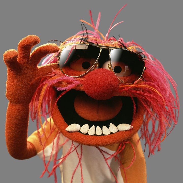 Muppets Live Action Casting