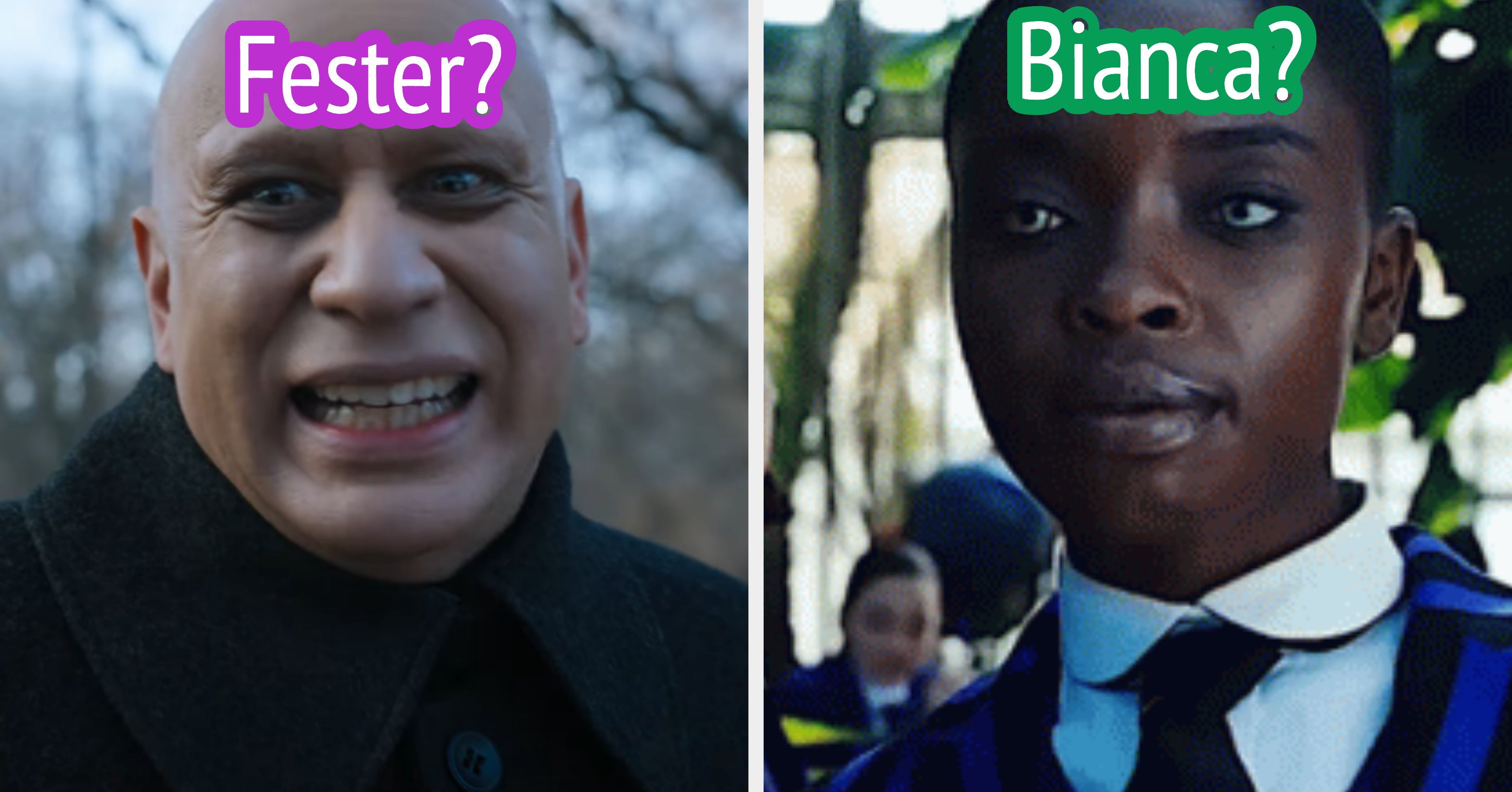 Let’s See Which "Wednesday" Character Is Your Personality Match