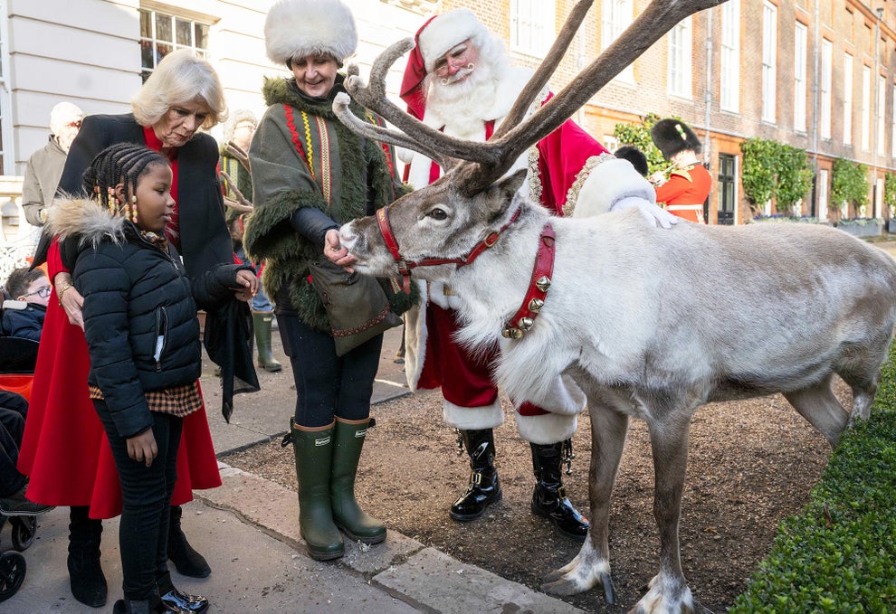Here’s A Look At The Vast World Of Santas And Animals