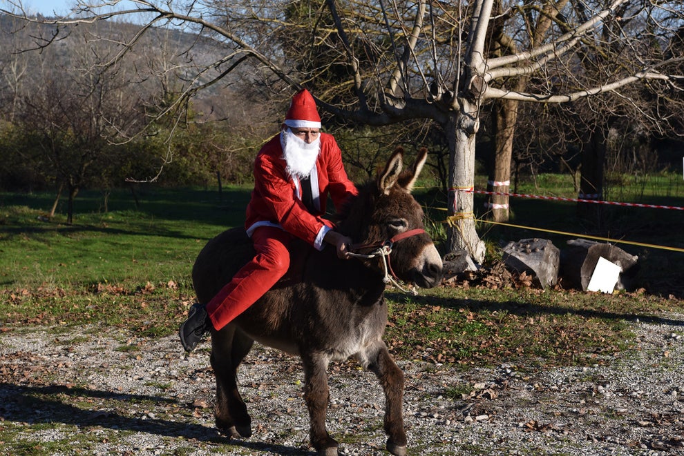 Here’s A Look At The Vast World Of Santas And Animals