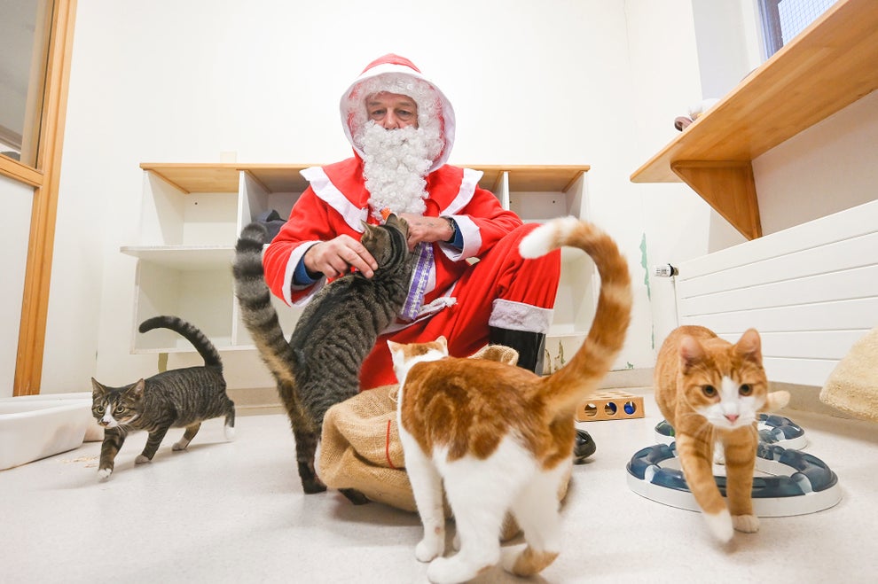 Here’s A Look At The Vast World Of Santas And Animals