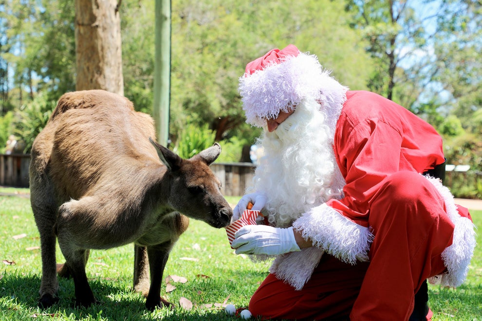 Here’s A Look At The Vast World Of Santas And Animals