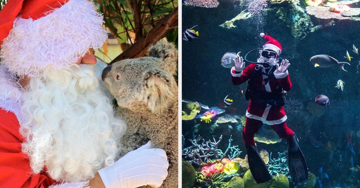 Here’s A Look At The Vast World Of Santas And Animals