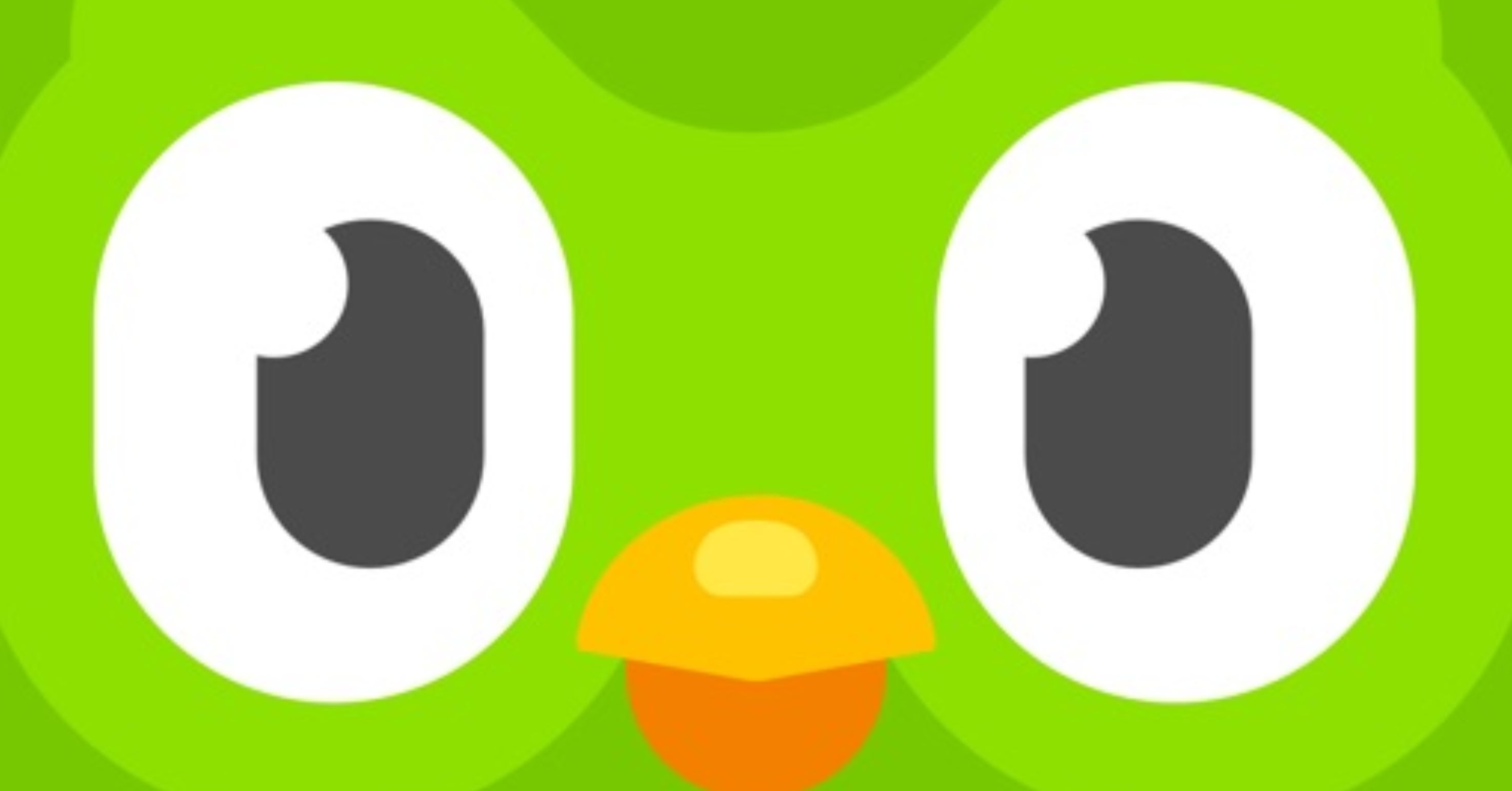 Would You Be Friends With Duo, The Duolingo Owl?