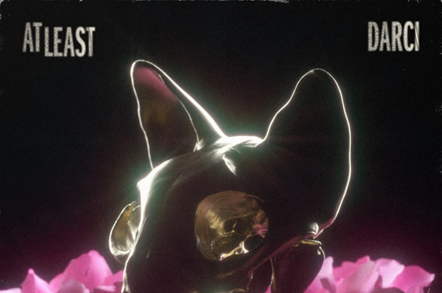 Premiere: Darci Share New Song "At Least" | Complex