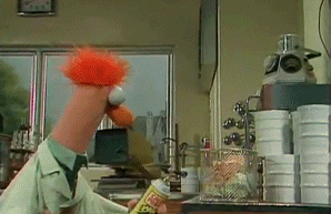 I Ranked All Of The Main Muppets Once And For All