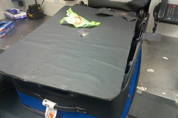 Man Caught with 9 Pounds of Cocaine at JFK International Airport | Complex