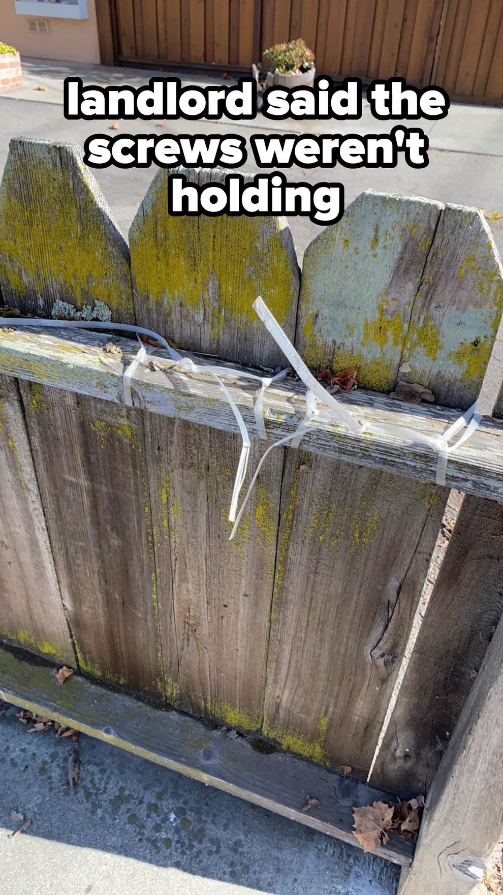 I Seriously Can't Stop Laughing At These Absolutely Terrible Landlords ...