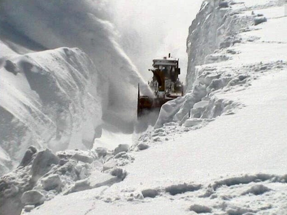 49 Wild Pics From Canadian Winters