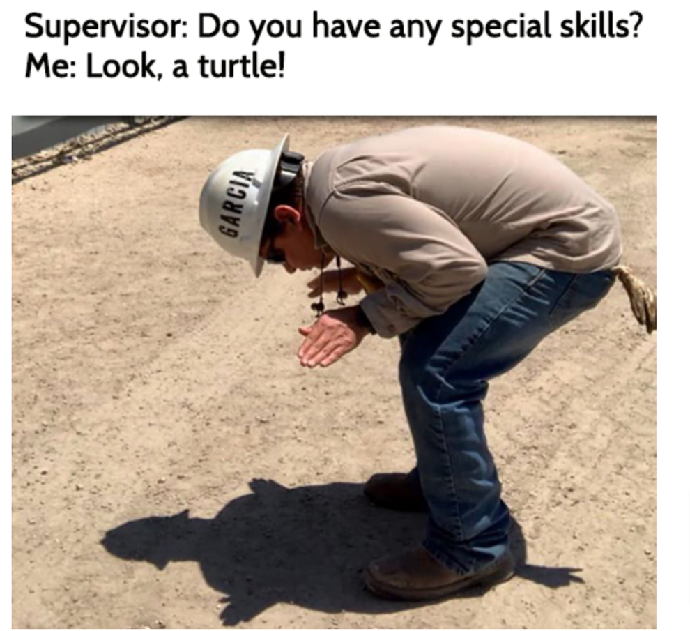 90 Funny Work Memes That Are Also Way, Way Too Real