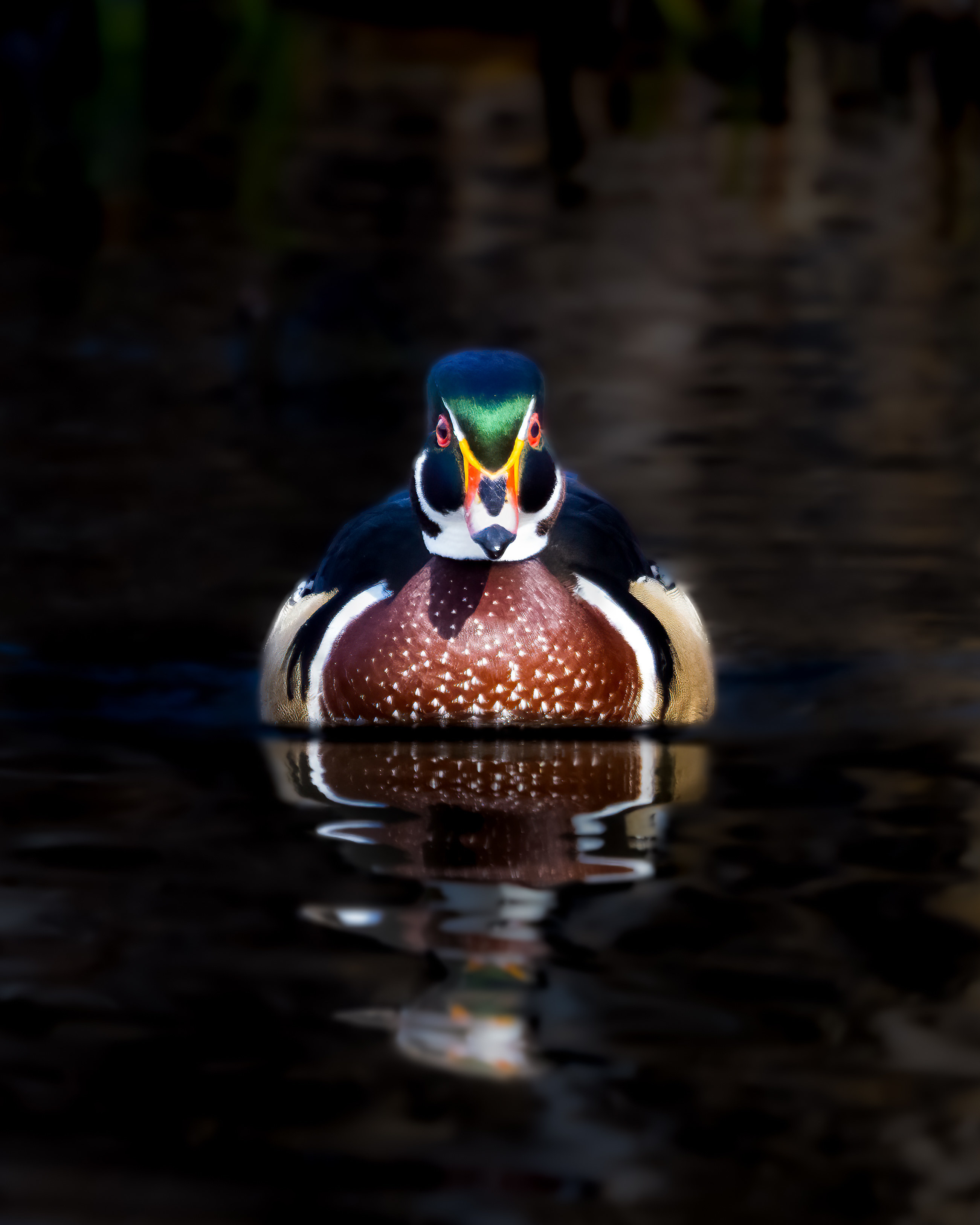 190 Best Corny Jokes For Adults That'll Make Anyone Laugh