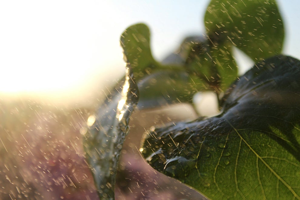 Things That Disappeared Without Anyone Noticing