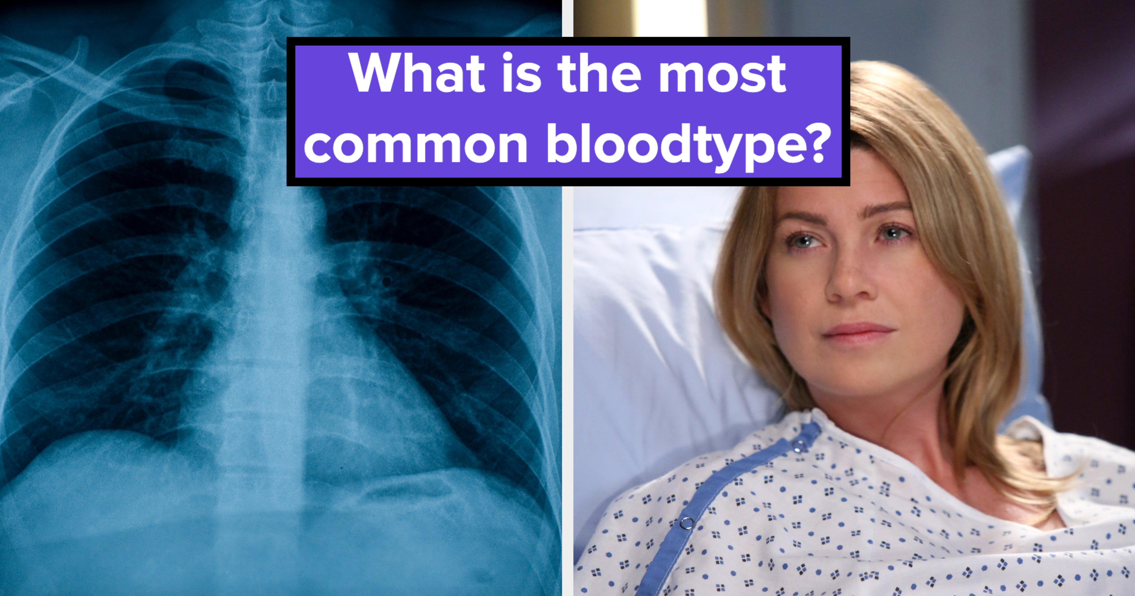 Human Body Trivia Quiz