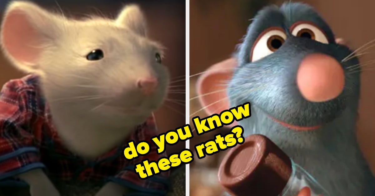 Try To Identify 8/8 Of These Famous Rodents If You Can