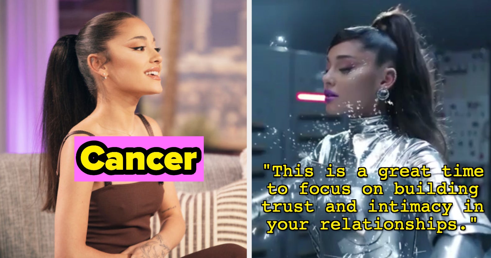 Answer 10 Personality Questions To Get Your Human-Predicted Star Sign ...