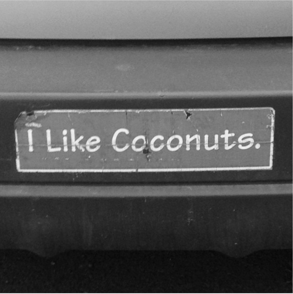 57 Hilarious Bumper Stickers People Have On Their Cars