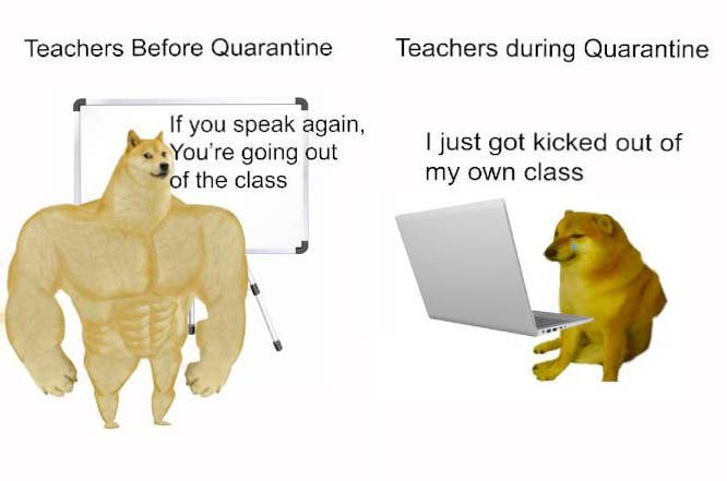 Dog Professor Memes