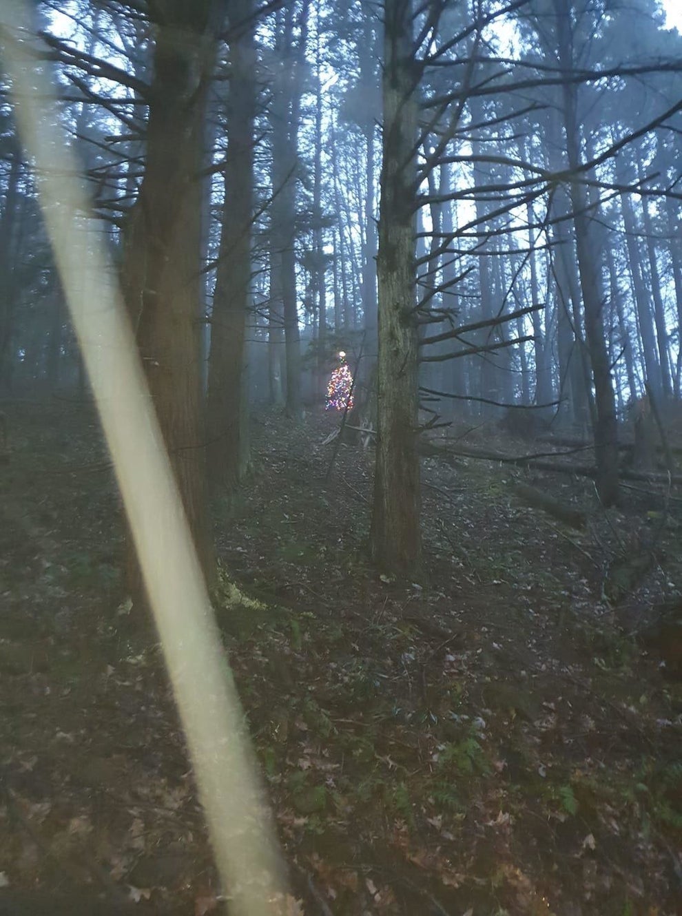 21 Of The Worst Cursed Images