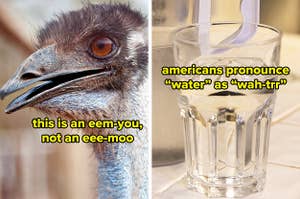 Isha Bassi on BuzzFeed