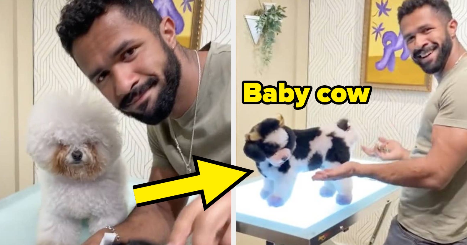Viral Dog Groomer Turns Pets Into Other Animals