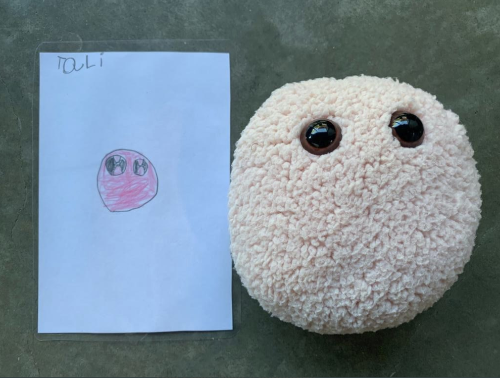 Teacher Turns Students Drawings Into Viral Stuffed Animals