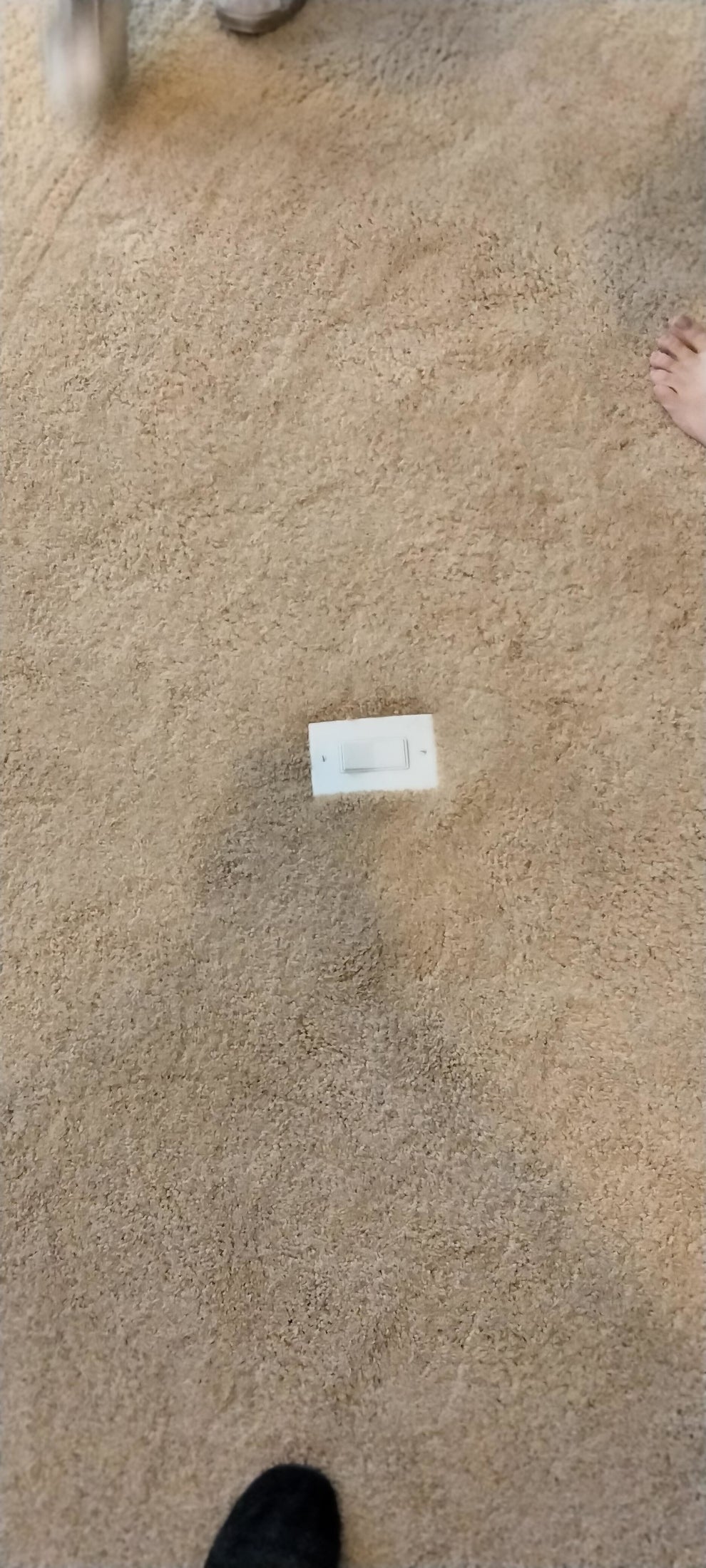 27 Absolutely Bizarre Home Design Choices