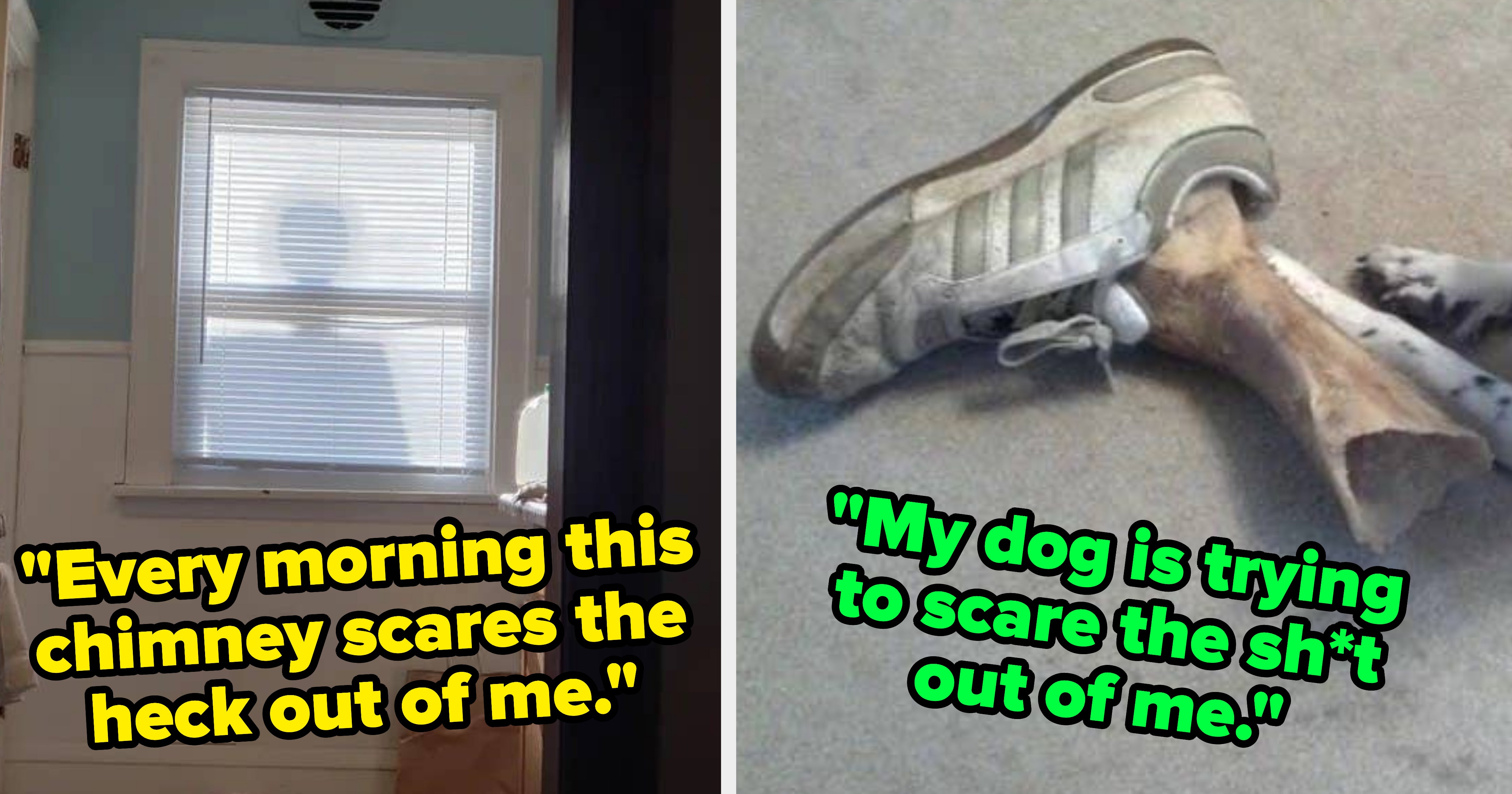 17 Scary Images That Are Actually Funny