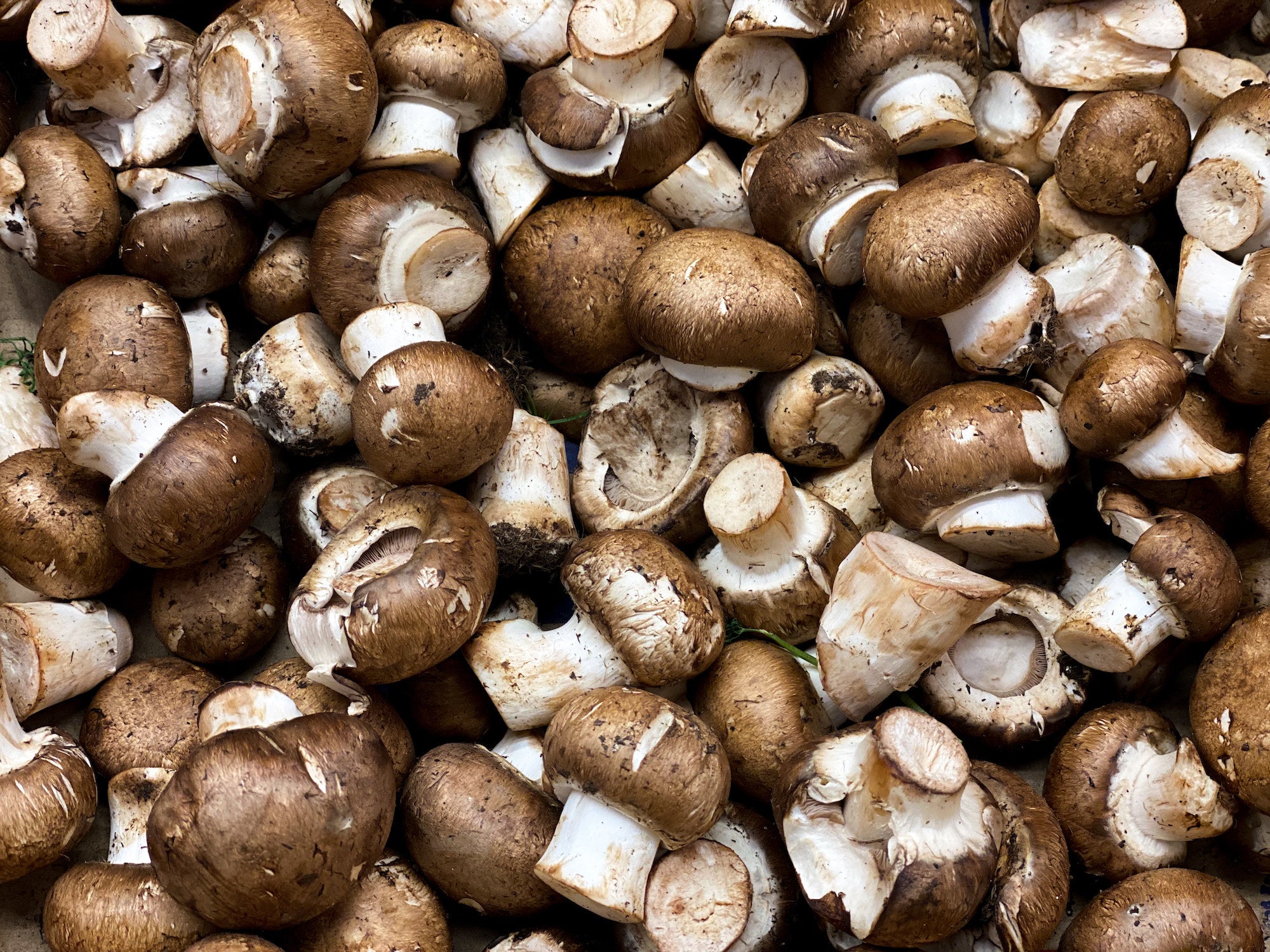 Ingredients That People Think Totally Ruin Food