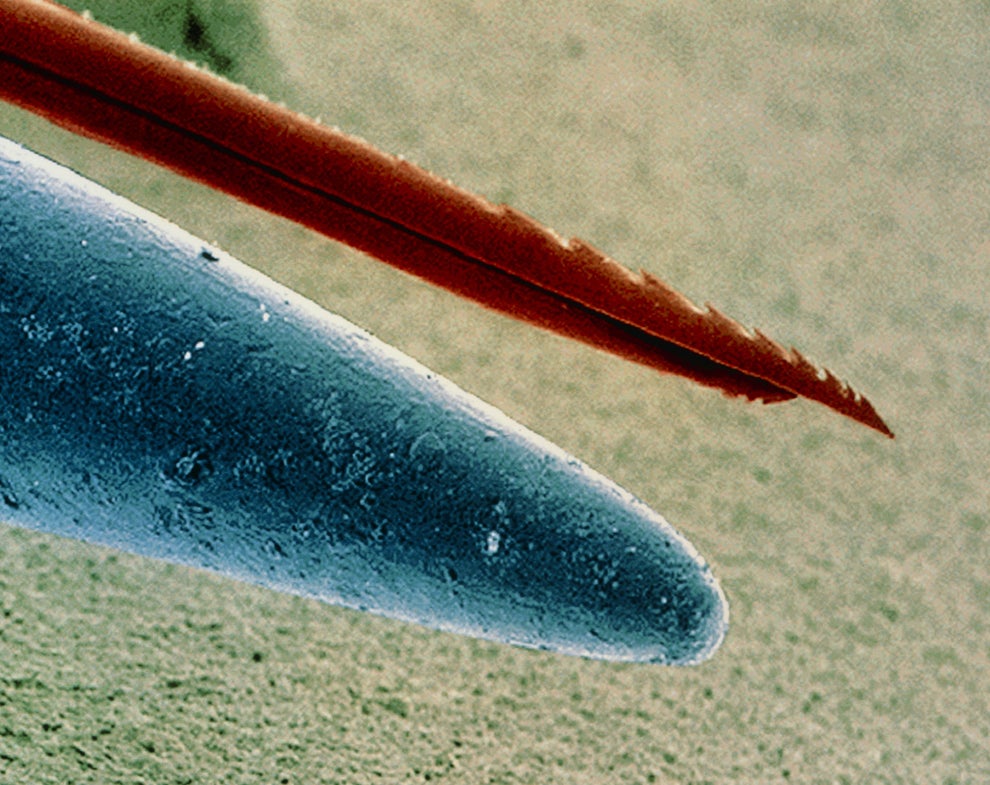 My Literal Pea-Sized Brain Is Completely Blown After Seeing These 20 ...