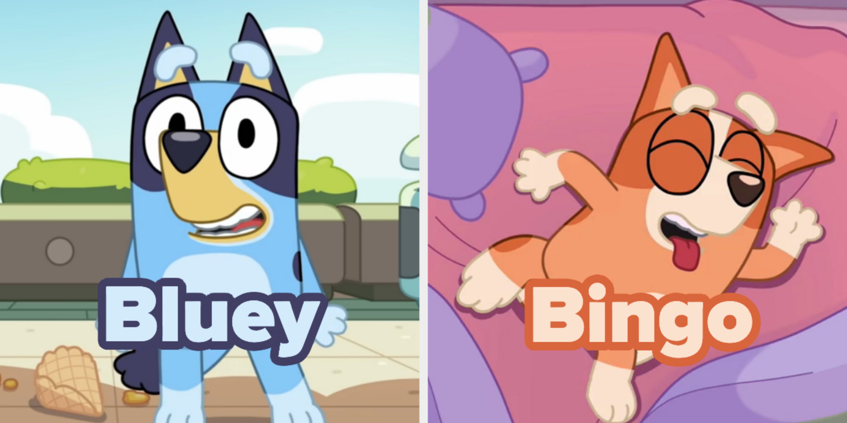 Bluey characters zodiac signs 60 photos - Youhoroscope.com