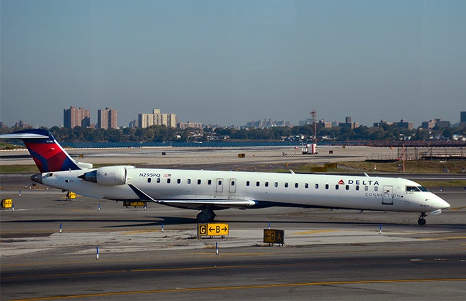 Bird Forces Airplane to Turn Around After Sneaking Into Cockpit | Complex