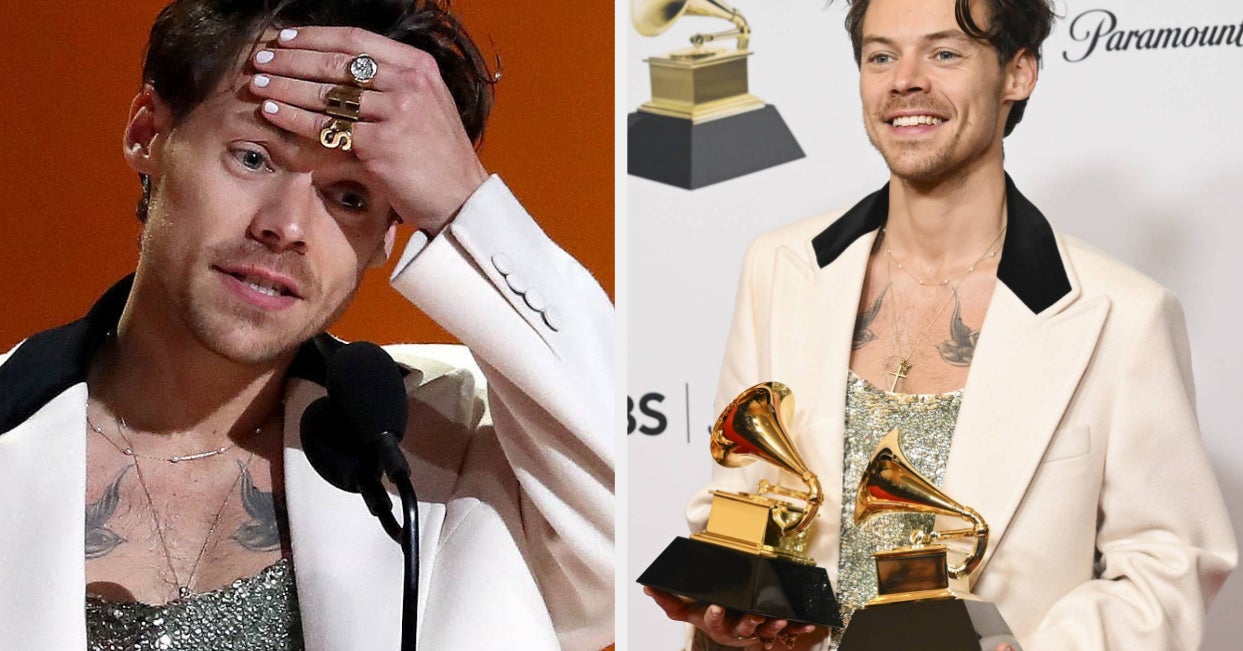 harry styles privilege