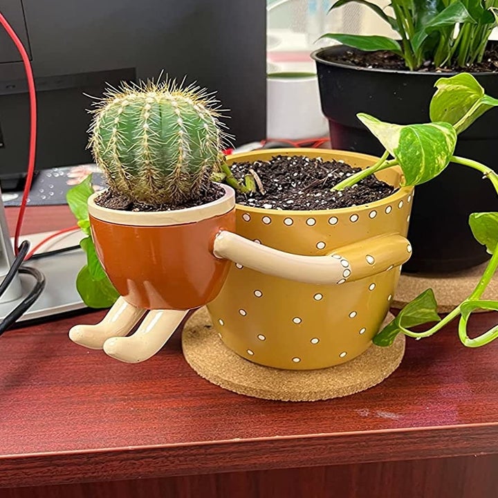 31 Best Unique Planters To Buy Online Right Now 2023