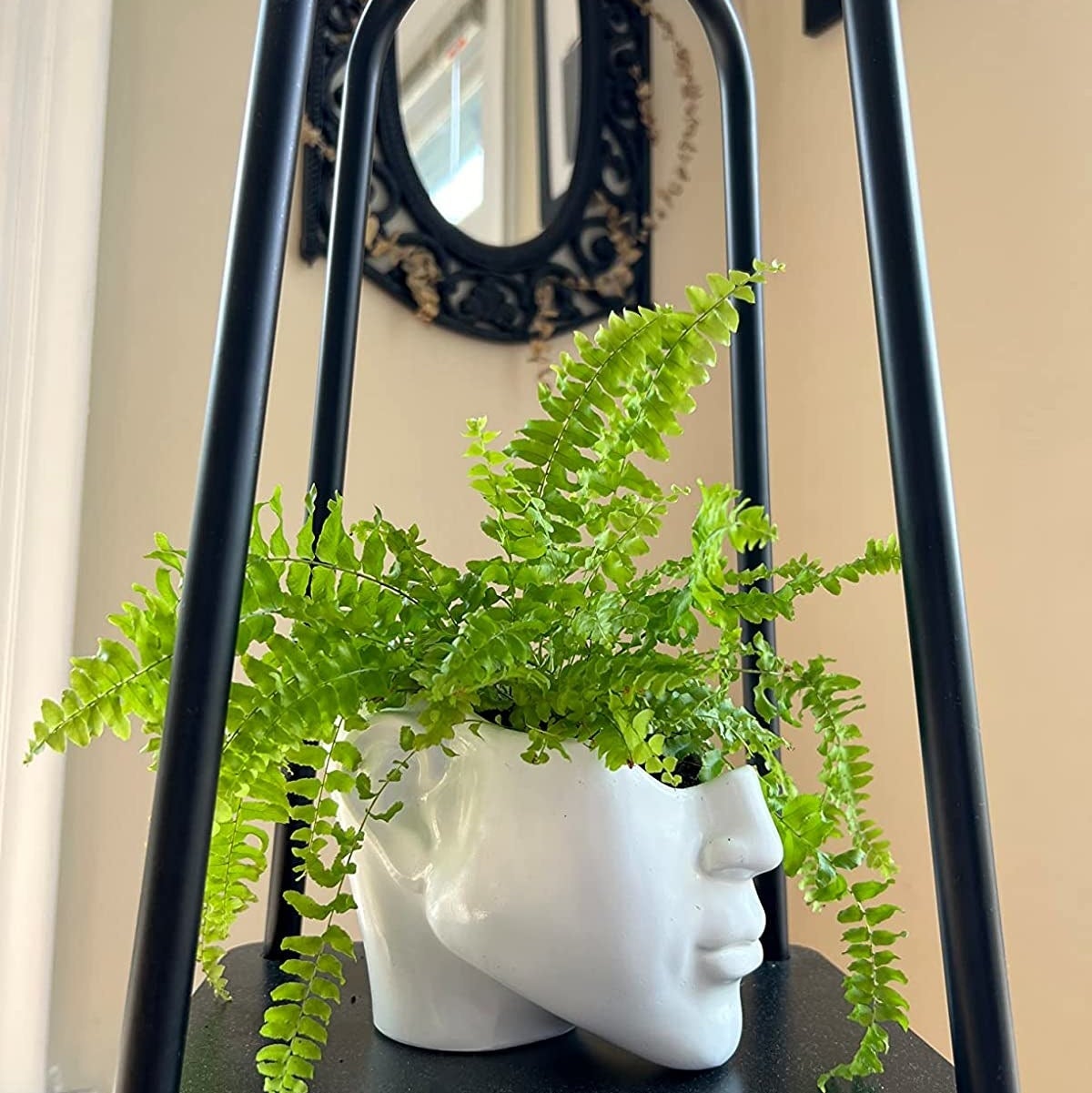 17 Best Cheap Planters And Flower Pots