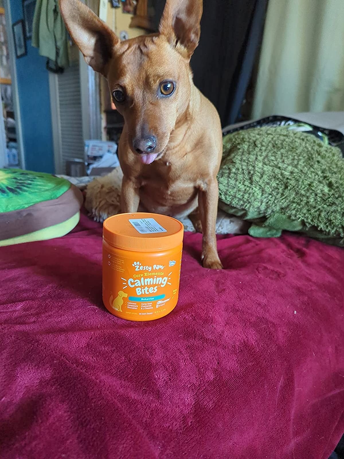 33 Things You'll Appreciate If Your Life Is Chaotic