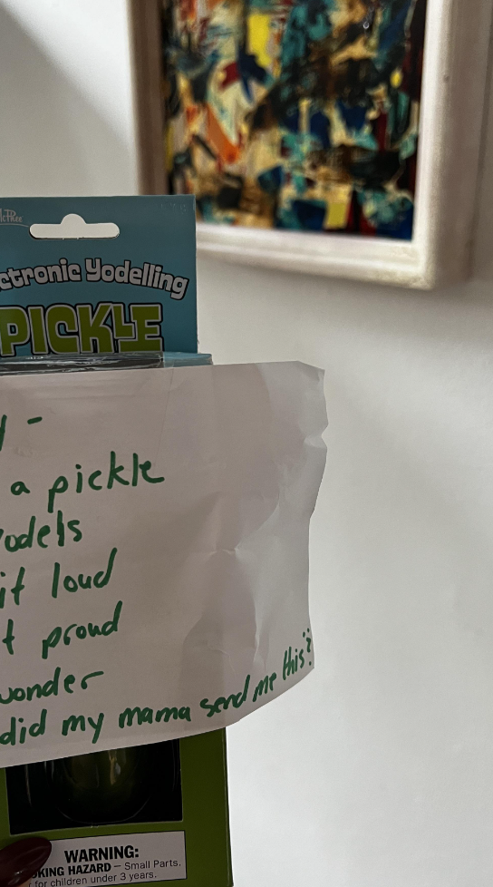 31 Hilariously Weird Parents