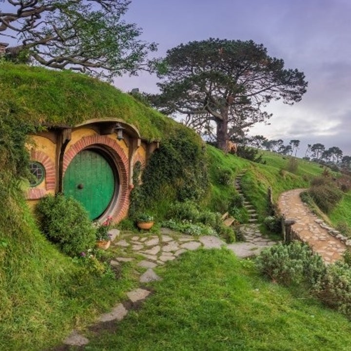 New Zealand Is The Best Destination For Foodies