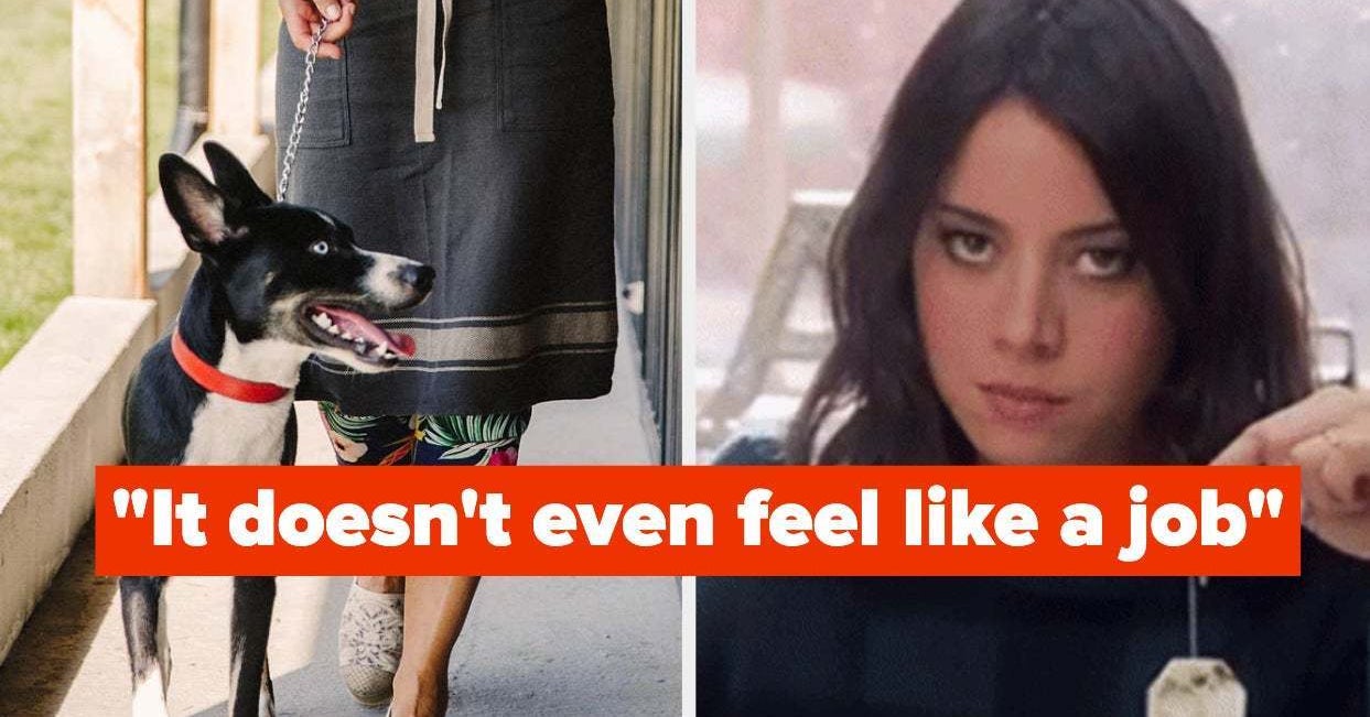 23 Jobs People Actually Love Going To Every Day