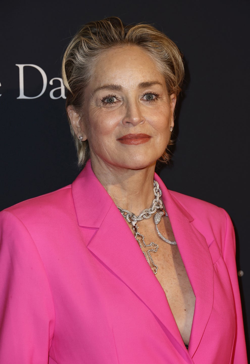 Sharon Stone Lost Half Her Money In Banking Crisis